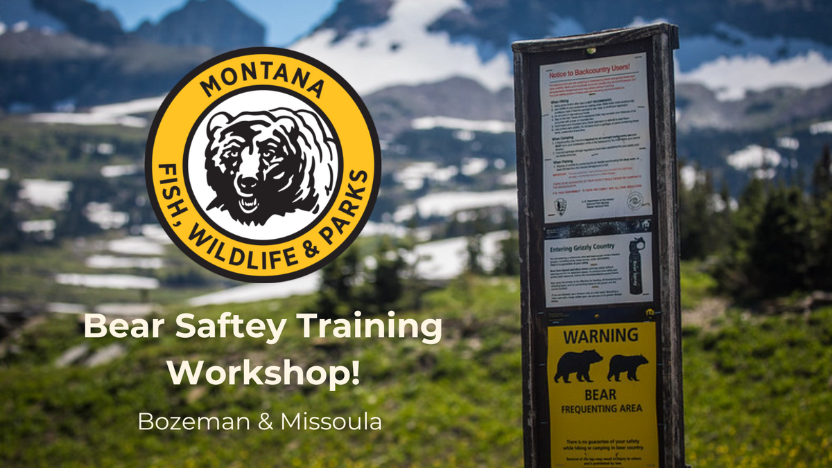 Bear Safety Workshop - MT Fish, Wildlife & parks | Hey Bear