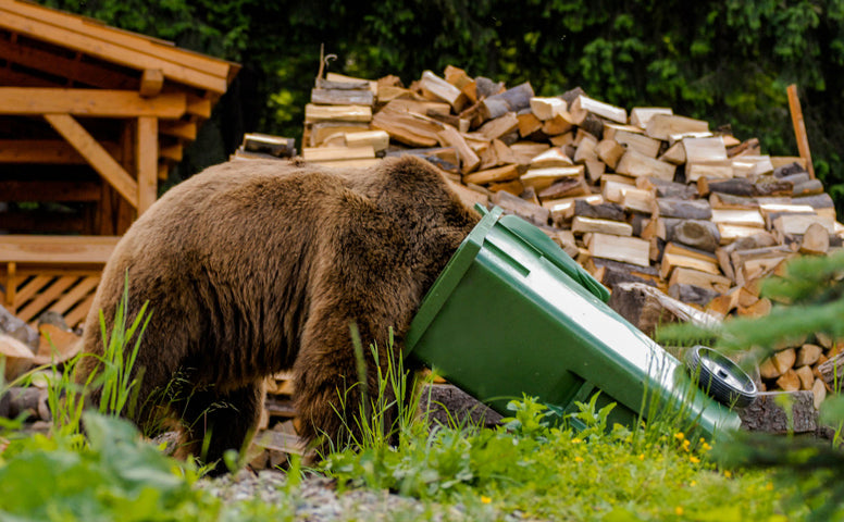 Food Storage & Handling for Campers and Backpackers | Hey Bear